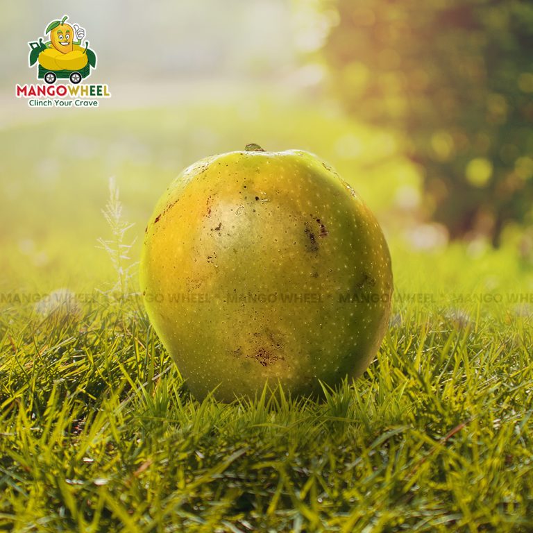 Buy Salem Mangoes Online | Fresh, Handpicked and Chemical-free | Mango ...