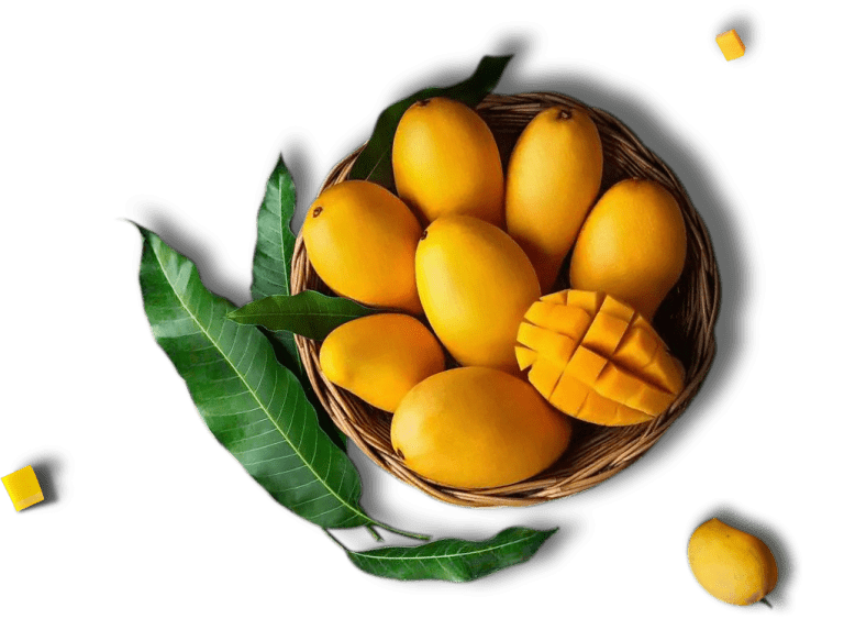 Buy Salem Mangoes Online | Fresh, Handpicked and Chemical-free | Mango ...