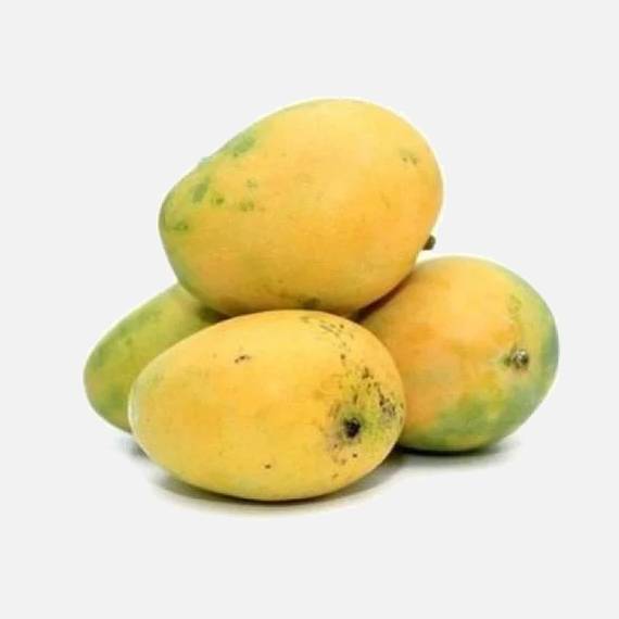 Buy Salem Mangoes Online | Fresh, Handpicked and Chemical-free | Mango ...